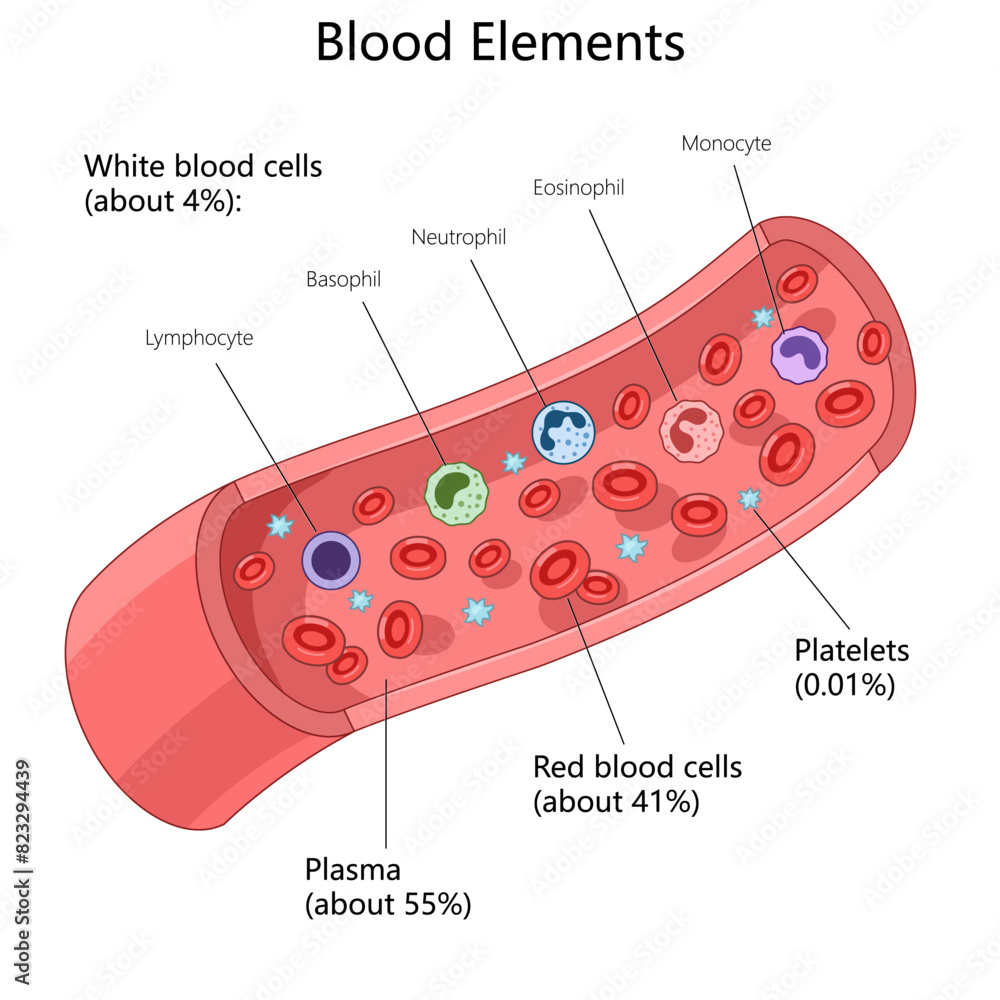blood elements including white blood cells, red blood cells, platelets ...