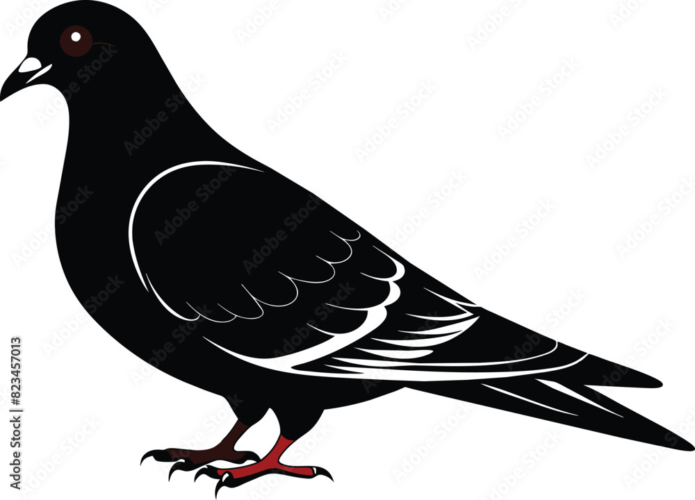 Pigeon with Wings Spread Vector,, pigeon vector clipart, bird vector ...