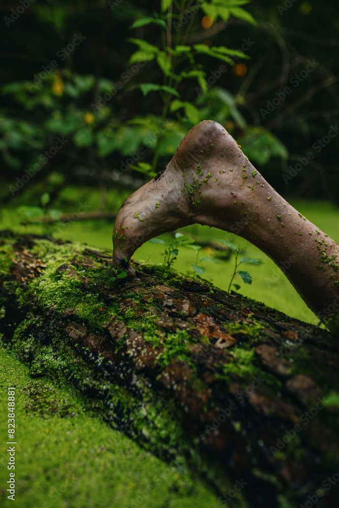 Close Up photo of male skin texture of man's feet and ankle. Stock ...
