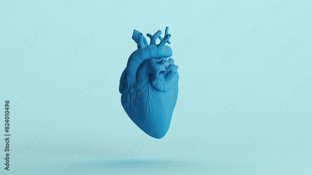 Blue heart anatomical anatomy biology soft tones medical pale ...