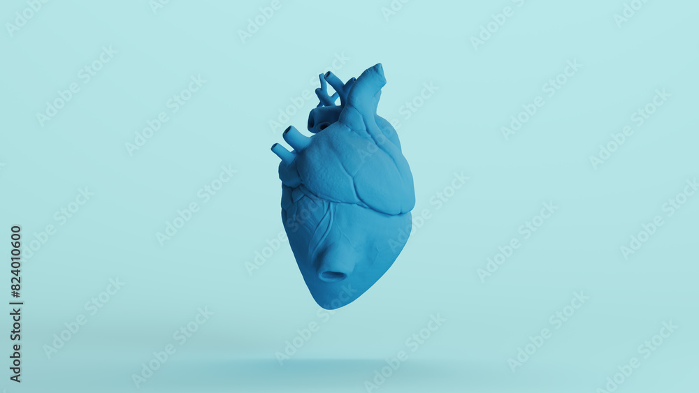 Blue heart anatomical anatomy biology soft tones medical pale ...