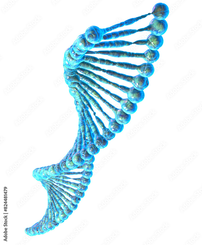 High resolution 3d render of human dna string. Transparent background ...