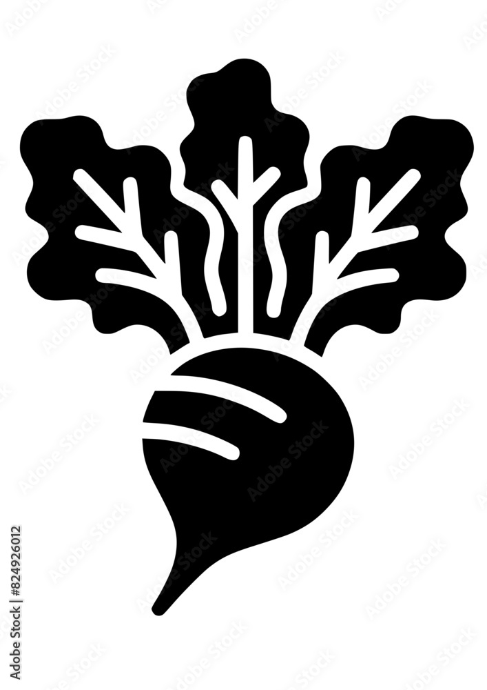 Beetroot SVG, Vegetable svg, food svg, Potato svg, Tomato SVG, Cucumber ...