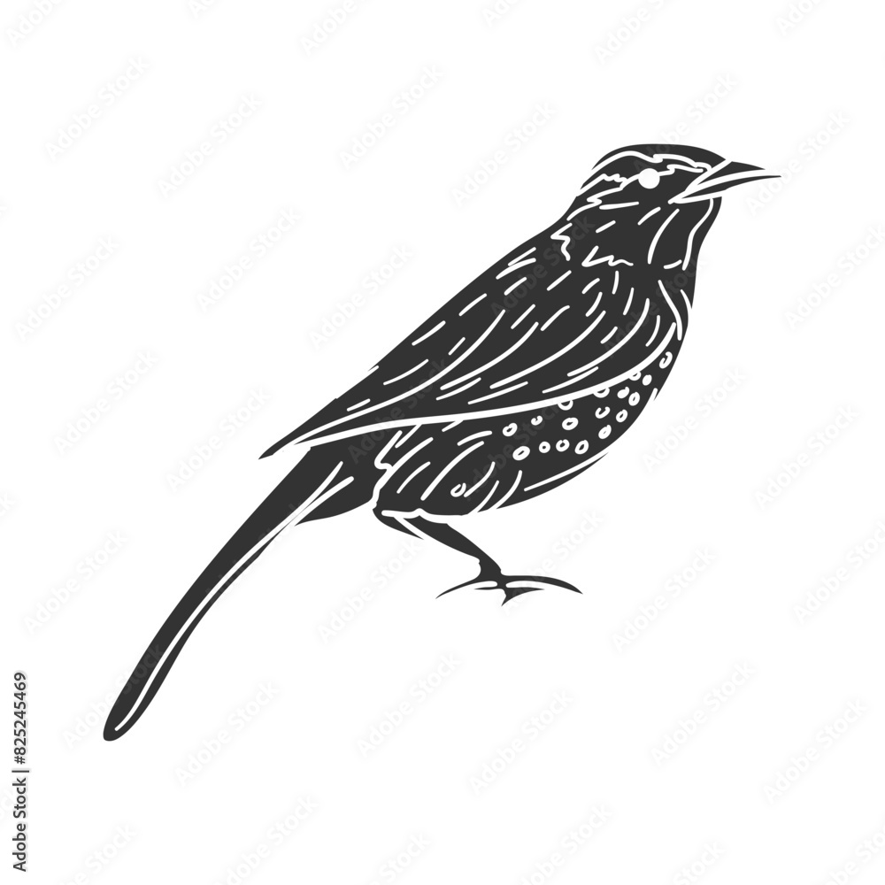 Cactus Wren Icon Silhouette Illustration. Bird Vector Graphic Pictogram ...