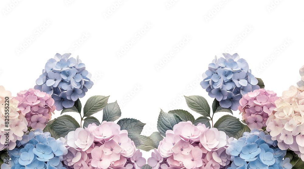 Pastel hydrangea flower border isolated on transparent background ...