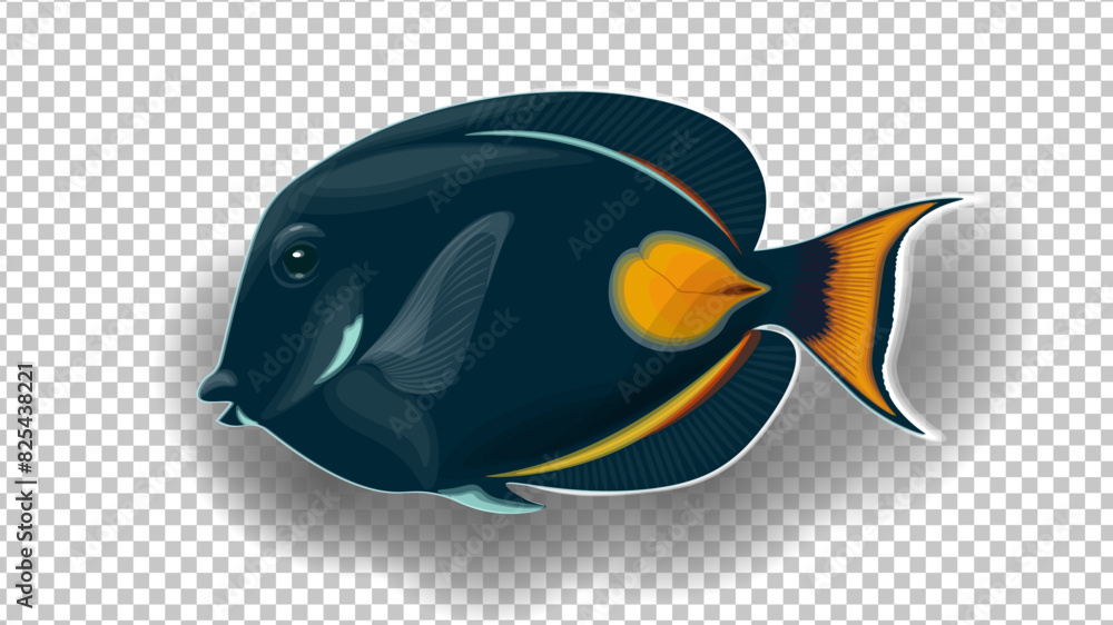 Achilles Tang 3D fish in black and white colors. Transparent background ...