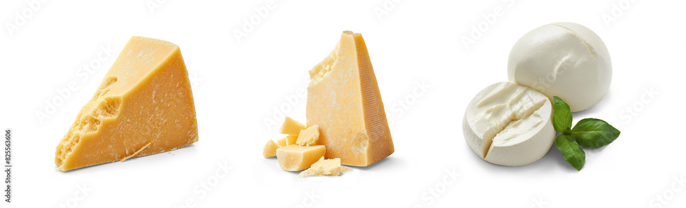 set of classic different types of cheese as milk dairy product display ...