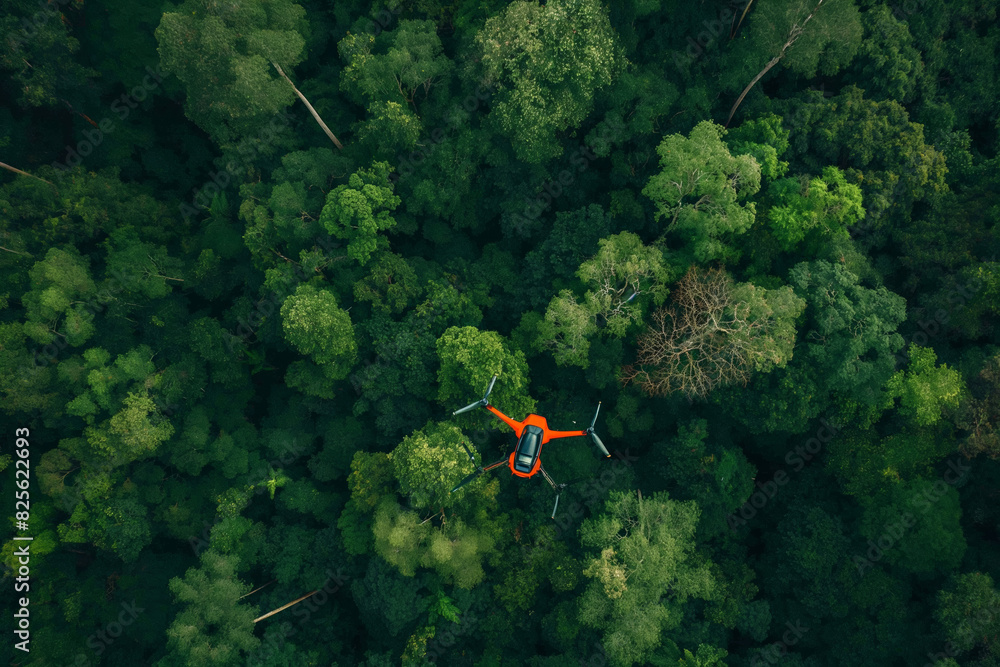 Ai-powered drone monitoring forest for illegal logging activities Stock ...