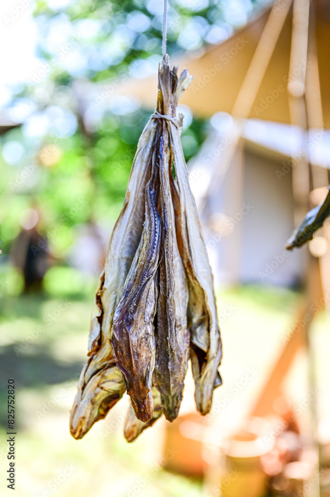 Smoked or grilled fish from the barbecue, dried fish, stockfish like ...