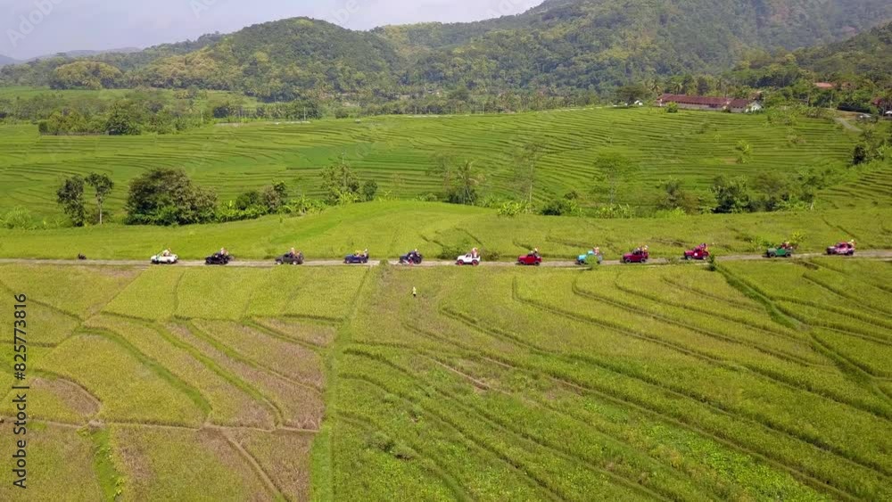 Aerial footage of a very wide view of green rice fields in the village ...