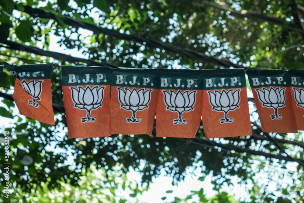 New Delhi, India - May 23 2024 - Bharatiya Janata Party Logo of Indian ...