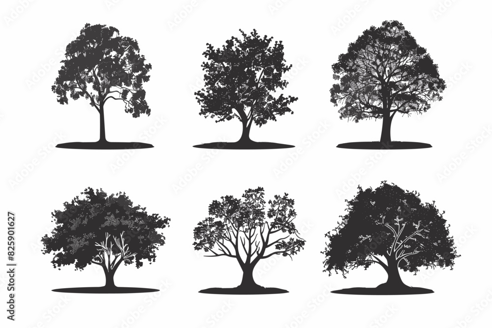 Silhouette tree set. Side view, set of graphic trees elements outline ...