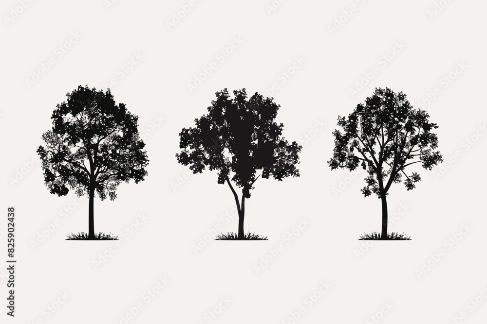 Silhouette tree set. Side view, set of graphic trees elements outline ...