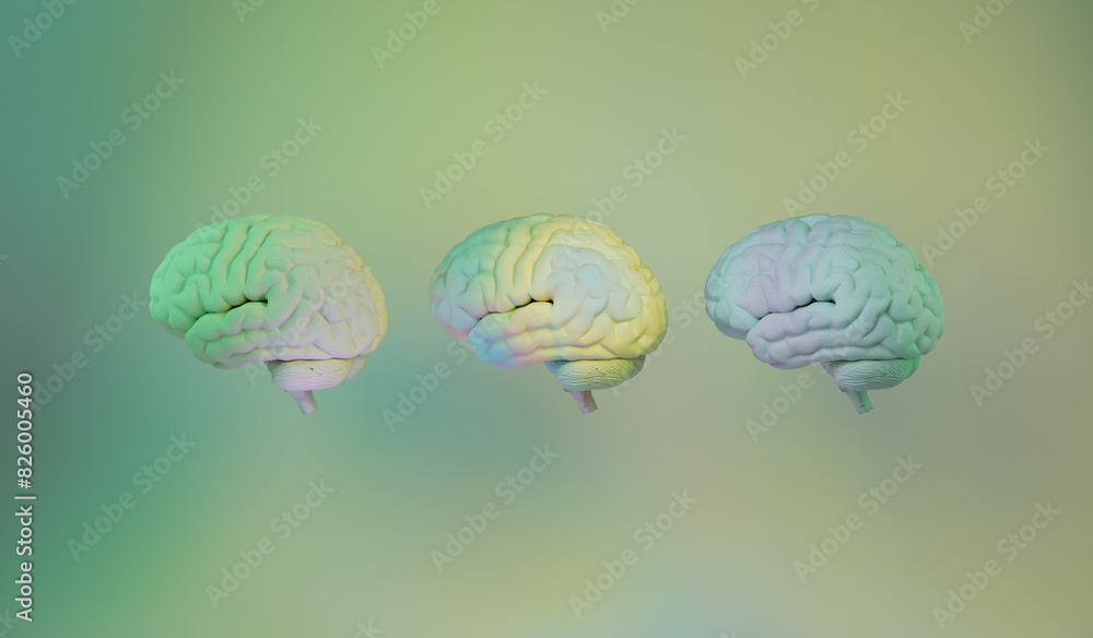 three brains, Anatomy, Medical Illustration, Gradient, Pastel Colors ...