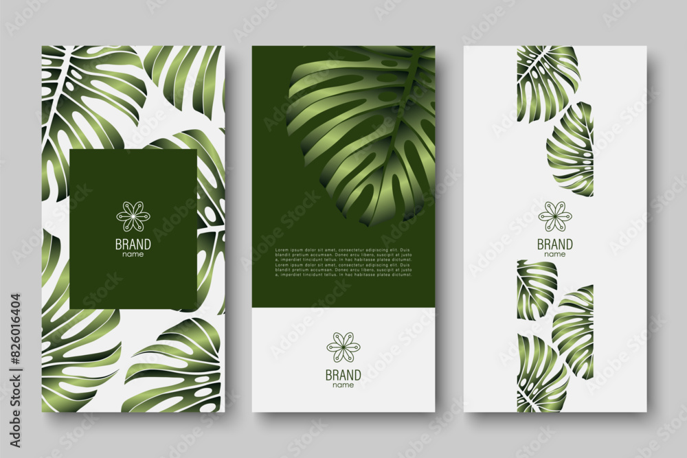 Branding packaging nature leaf background, voucher logo banner, spring ...