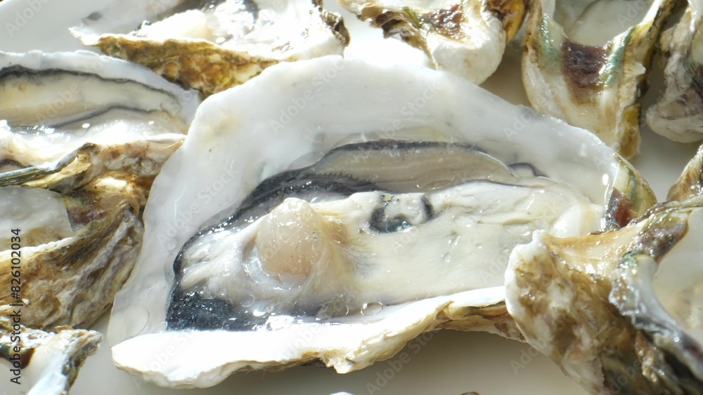 Oysters: Shells are elongated, irregular, and calcified, with hinged ...