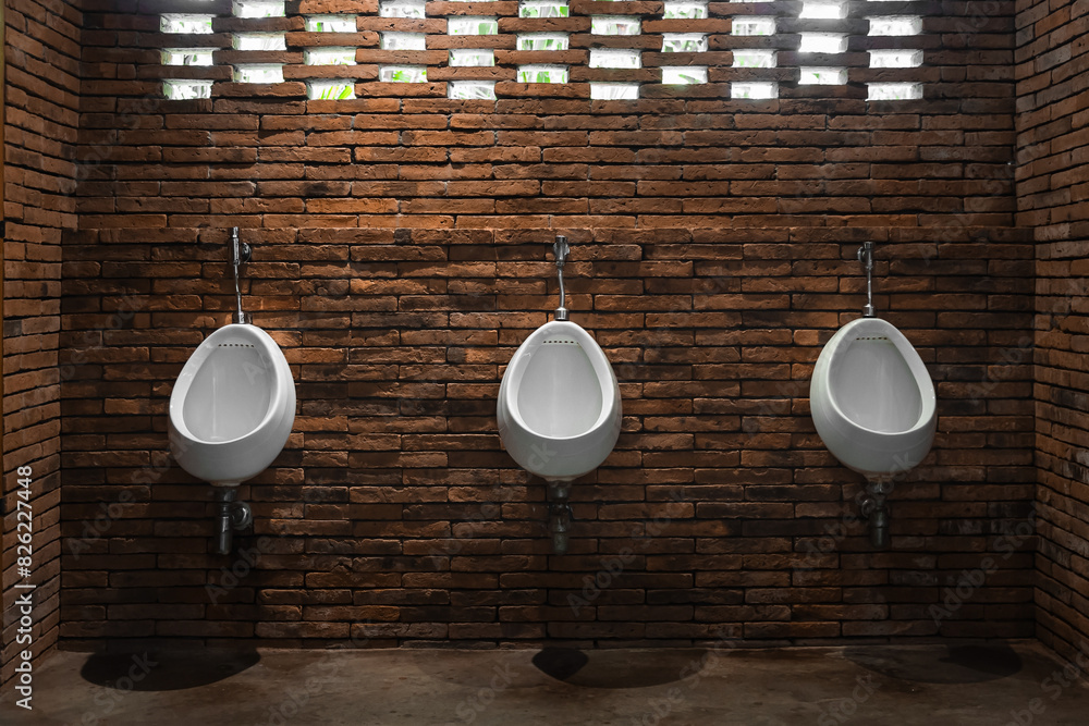 The row of white ceramic urinal chamber pot interior design with ...