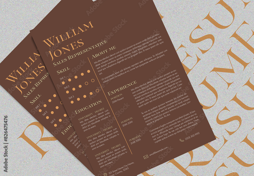 Classic Resume Stock Template | Adobe Stock