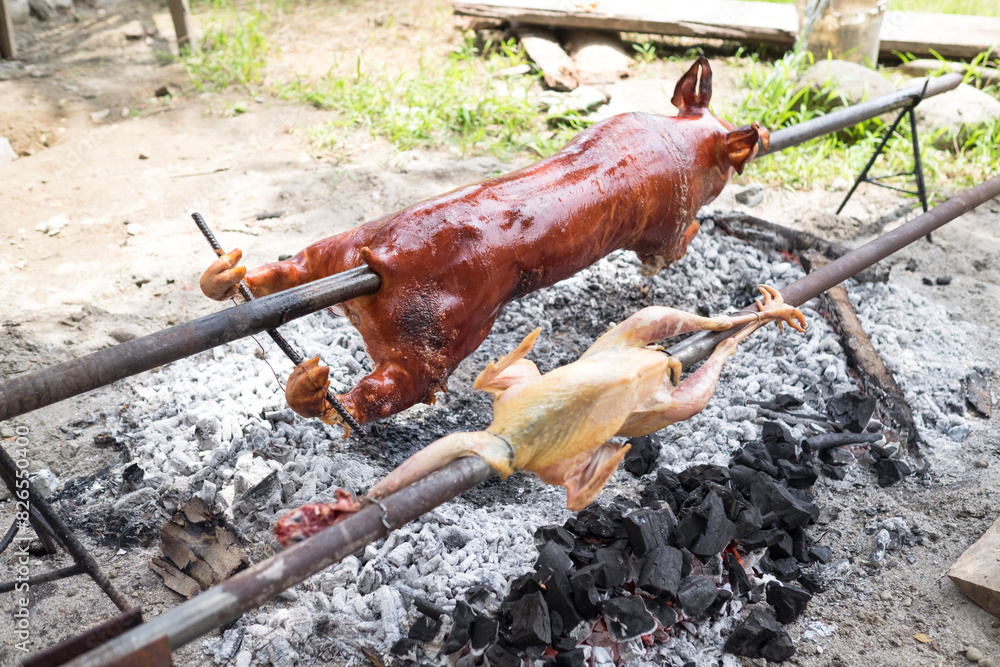 Slow cooking in outdoor the delicious whole roasted turkey and pig ...