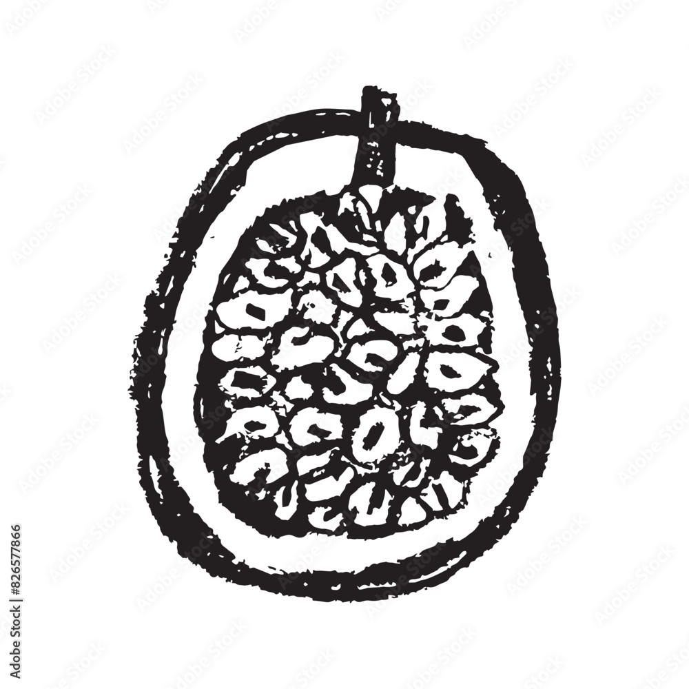 Passion fruit vector drawing in hand drawn style with rough charcoal ...