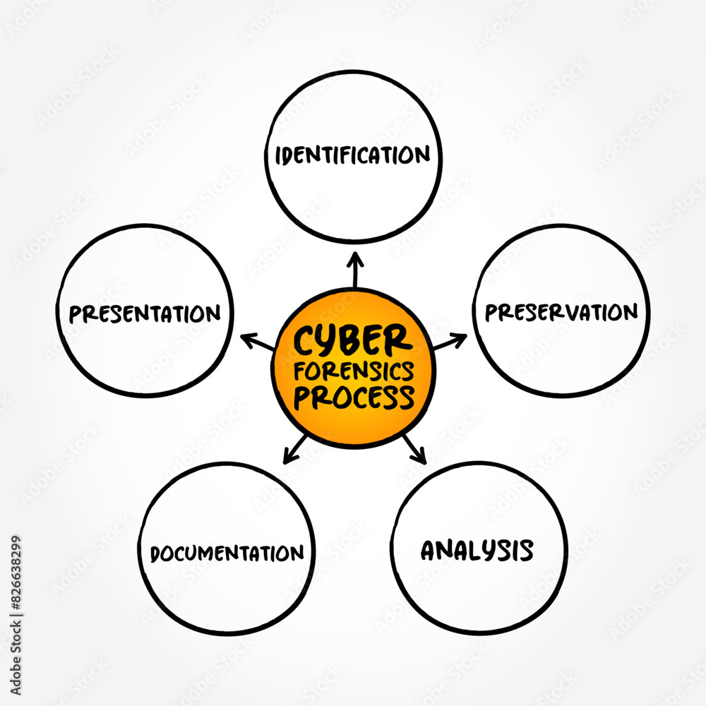 Stages of the cyber forensics process - sub-branch of digital forensics ...