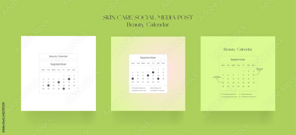 Vetor de beauty calendar for skin. Mapping out your dynamic skin care ...