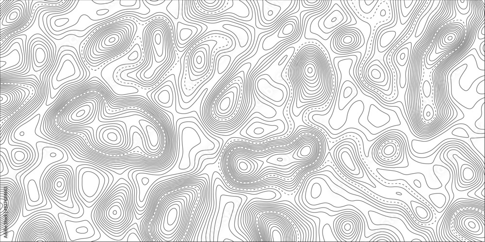 Topographic map background geographic line map with elevation ...