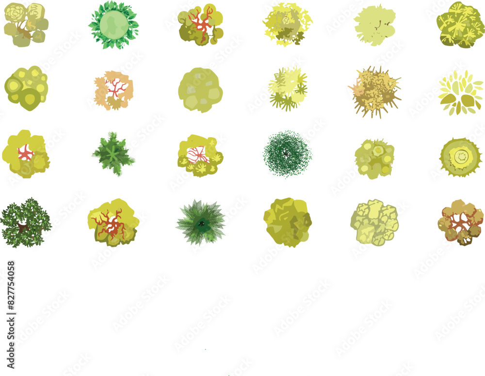 Vector tree top watercolor hand drawn view isolated on white background ...