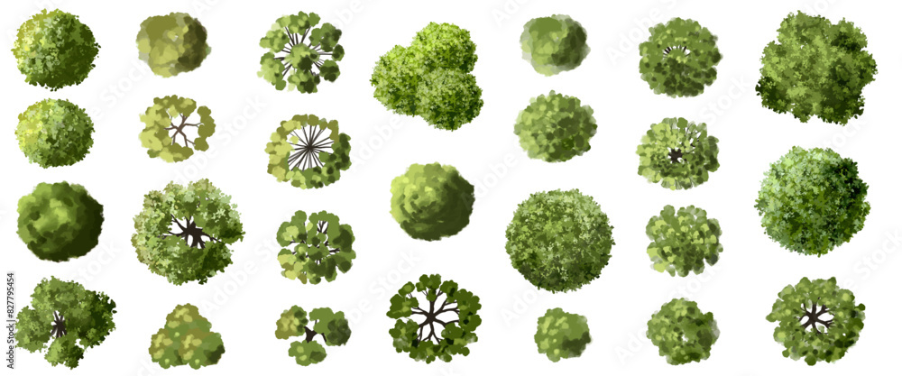 Vertor set of green tree,plants top view for landscape plan,schematic ...