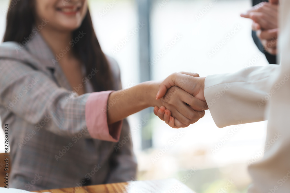 Business professionals sealing a deal with a handshake in an office ...