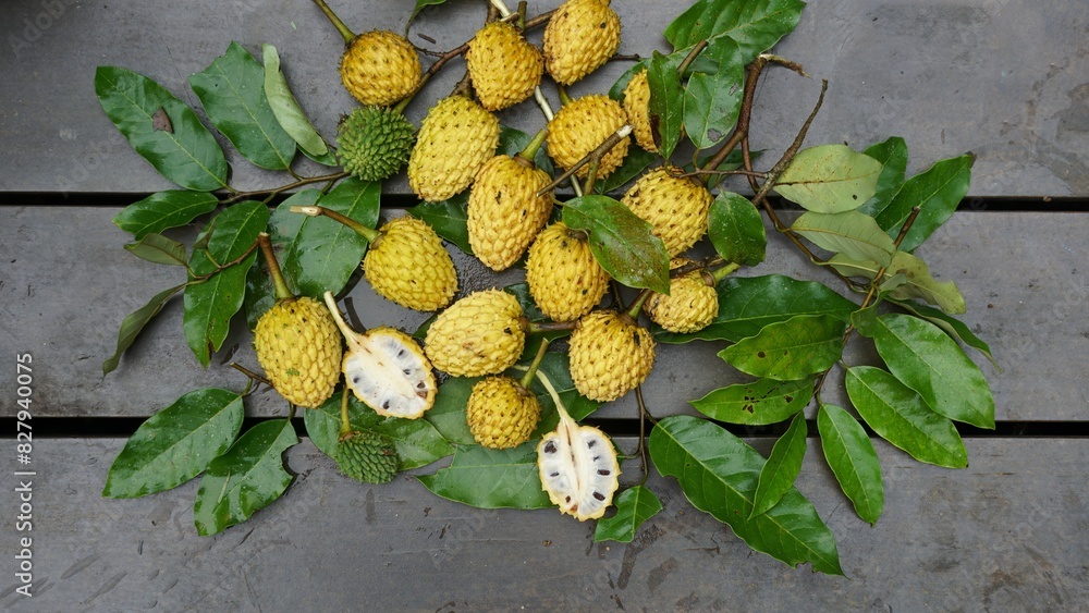 Araticum do Mato, planta típica de matas secundárias iniciais, fruto ...