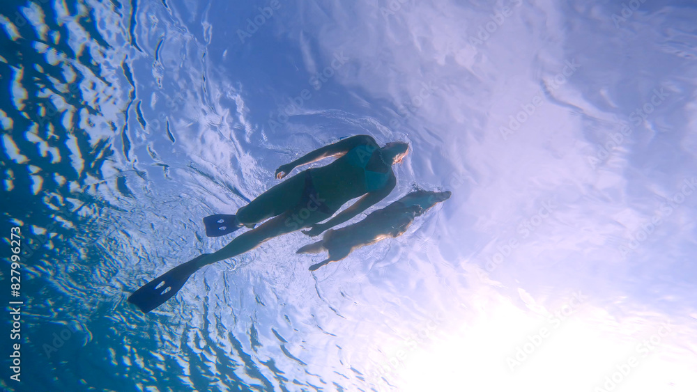 UNDERWATER BOTTOM UP: Woman with swim fins and her dog swim together in ...
