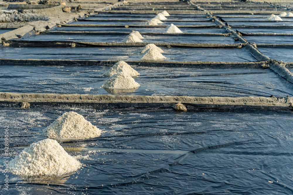 Sea salt process at rural area of Bangladesh. Raw material of salt ...