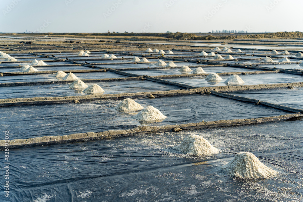 Sea salt process at rural area of Bangladesh. Raw material of salt ...
