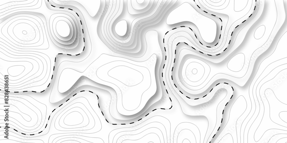 Lines Topographic contour lines map seamless pattern. Geographic ...