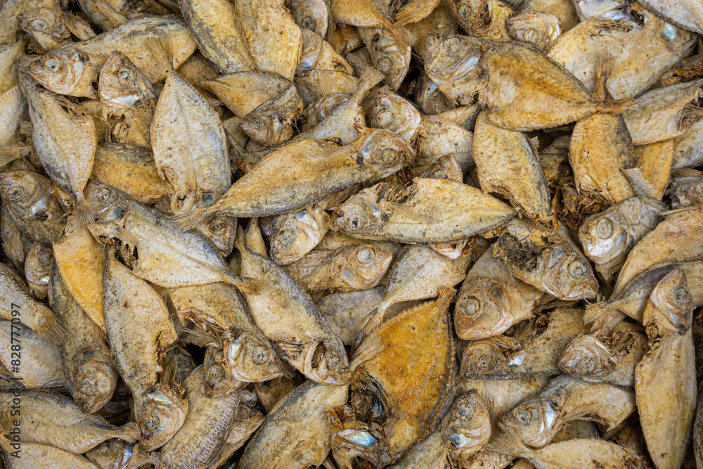 Fresh varieties of sea food meat like fishes, crabs, shrimp, prawns ...