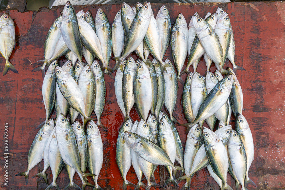 Fresh varieties of sea food meat like fishes, crabs, shrimp, prawns ...