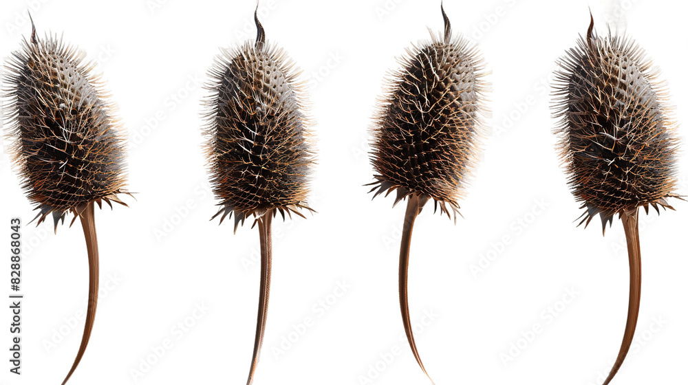 Digital Scanner Collection - Set of 4 Top View 3D Renderings on ...