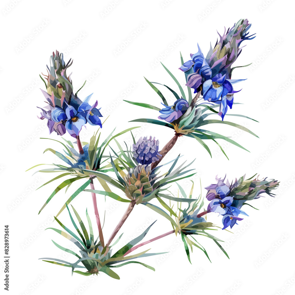 Branch with blue Echium vulgare wildflower (known as viper's bugloss ...