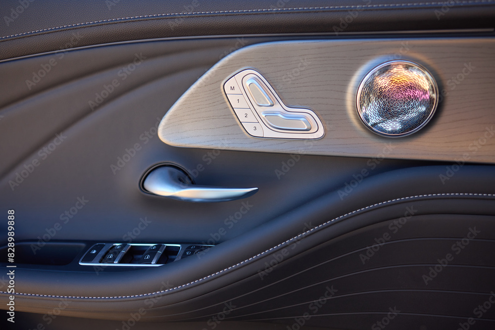 Poster A car door with trim showcasing automotive design details – Wall ...