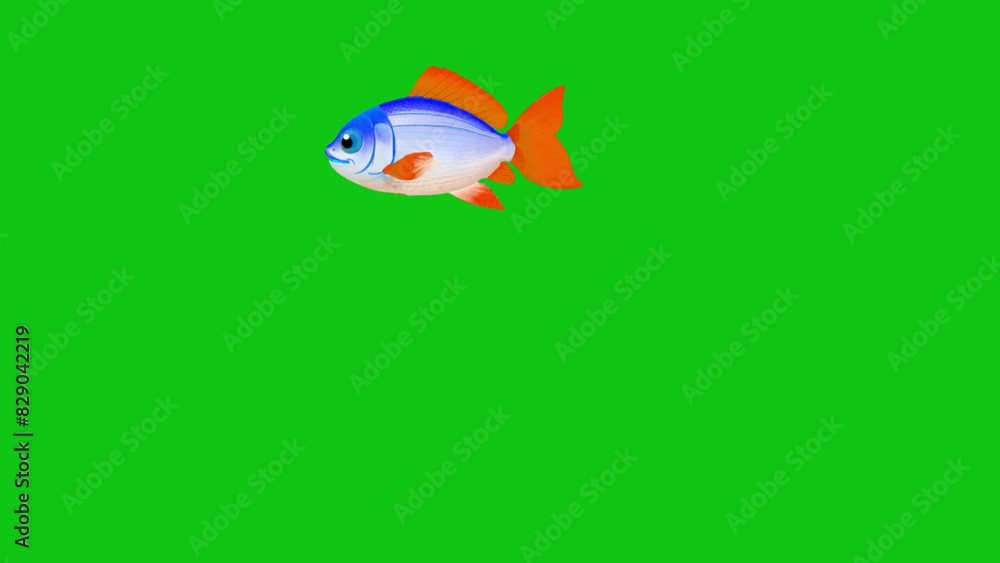 A cartoon fish swims repeatedly on a green screen or chroma key ...