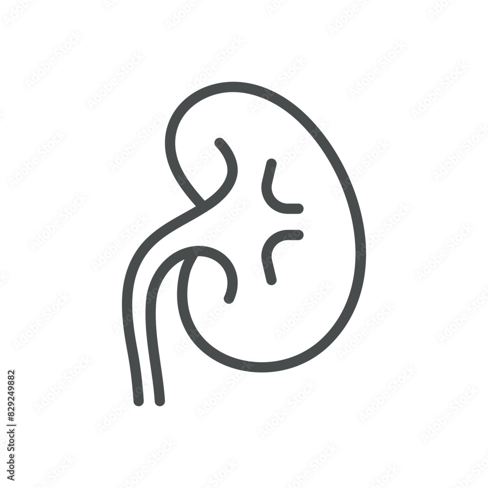 Kidney Icon. Isolated Line Illustration of Human Kidney, Representing ...