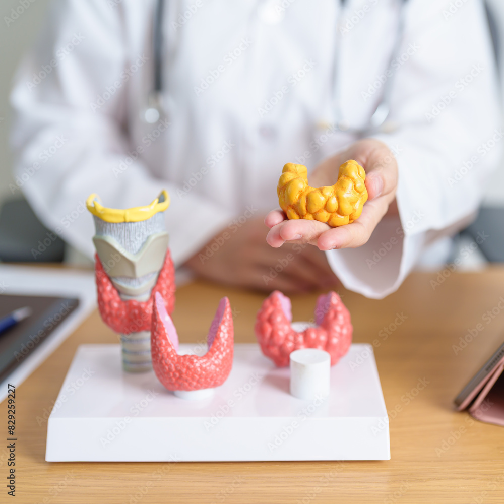 Doctor with human Thyroid anatomy model and tablet. Hyperthyroidism ...