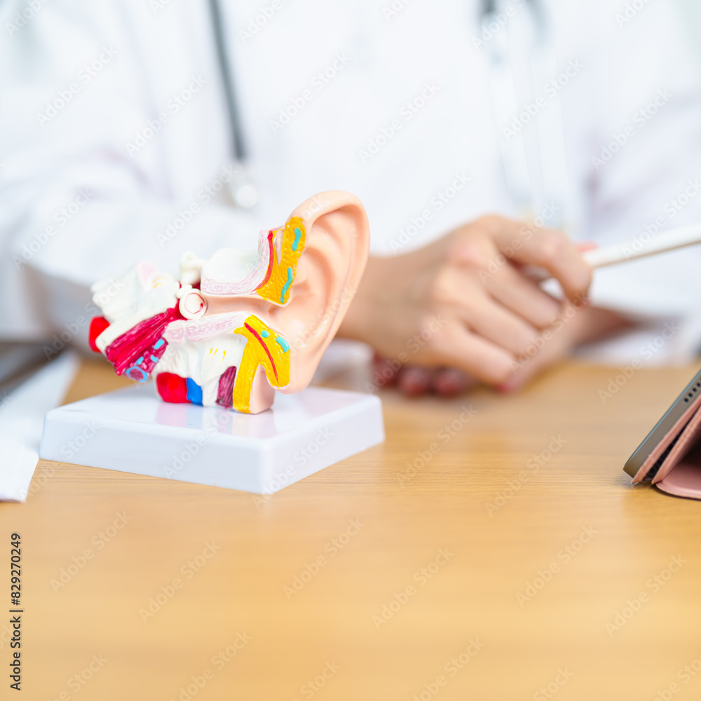 Doctor with human Ear anatomy model with tablet. Ear disease, Atresia ...