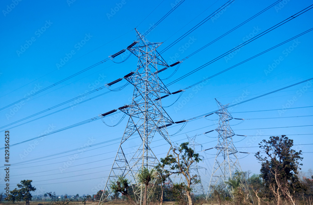 rows of electricity transmission towers across field in Baghmundi ...