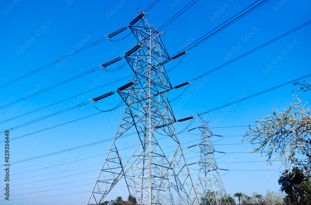 rows of electricity transmission towers across field in Baghmundi ...