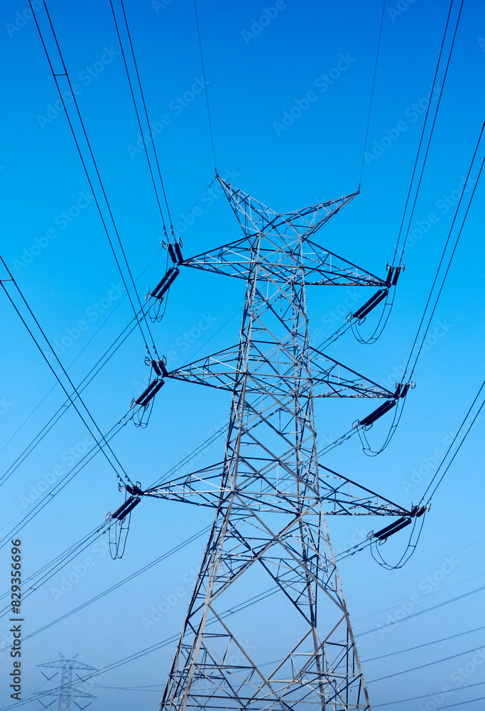 rows of electricity transmission towers across field in Baghmundi ...