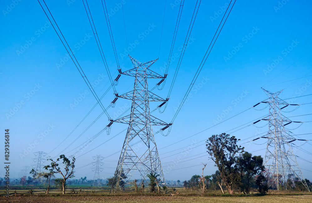 rows of electricity transmission towers across field in Baghmundi ...