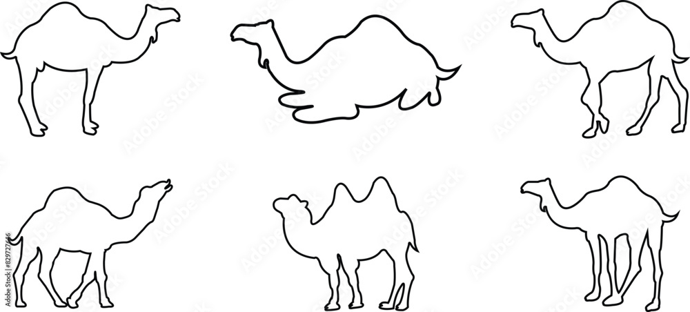 Set of Camels desert brand logos designs elements. Camels Linear ...