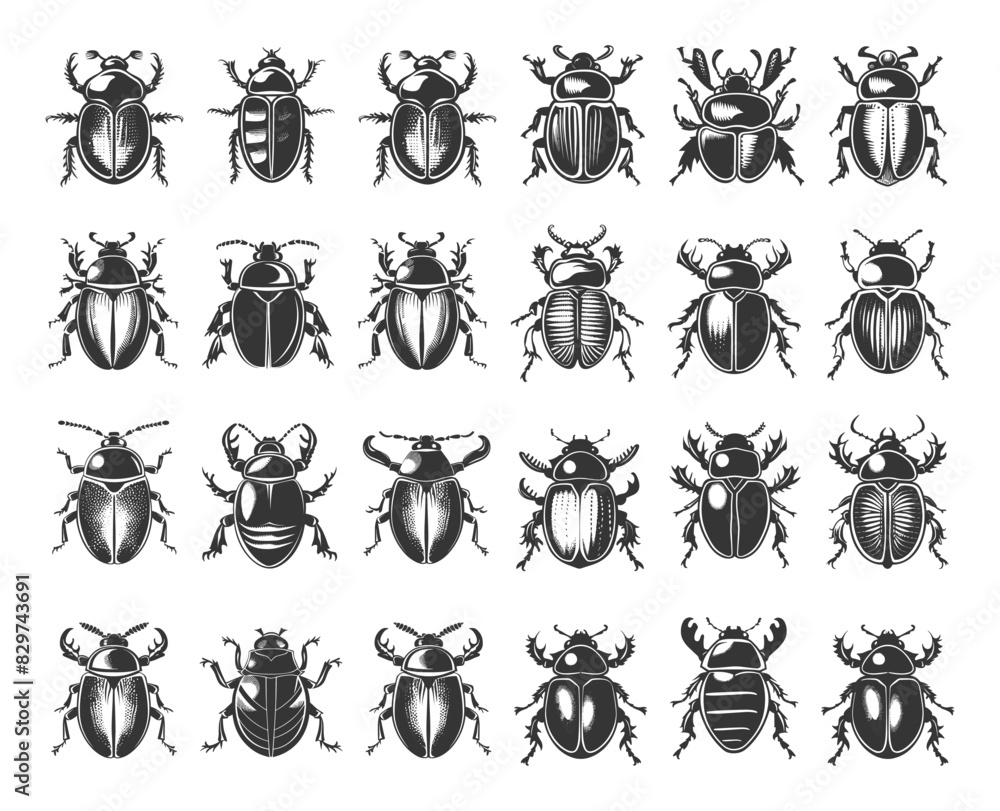 Doodle Style Egyptian Scarab Beetles Icon Set. Egyptian, Scarab, Beetle ...